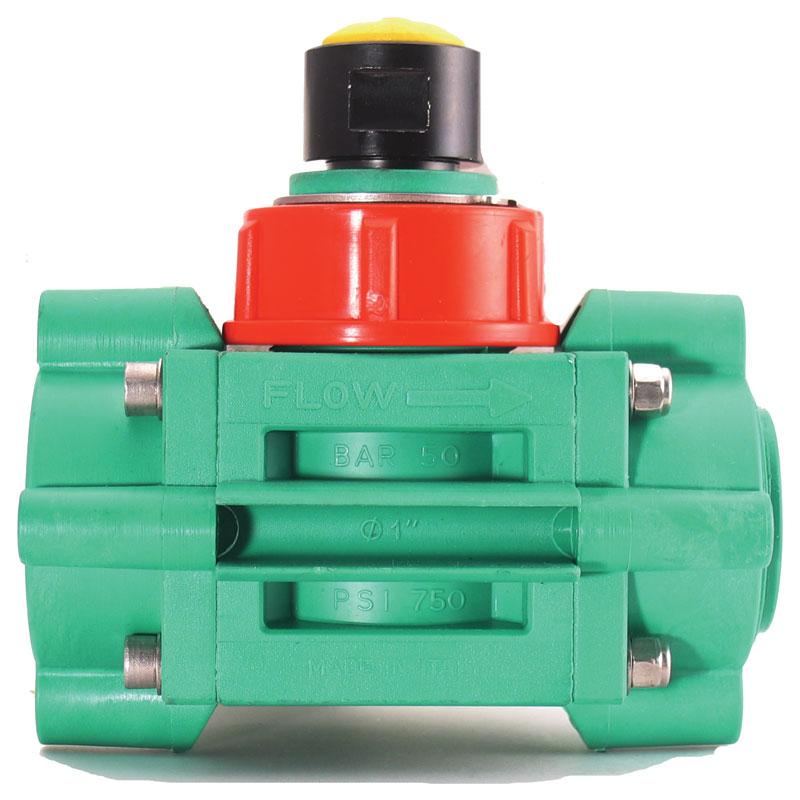 Polmac 1" Rapid-Check Flow Sensor with Arag M/F flanges – FarmTech